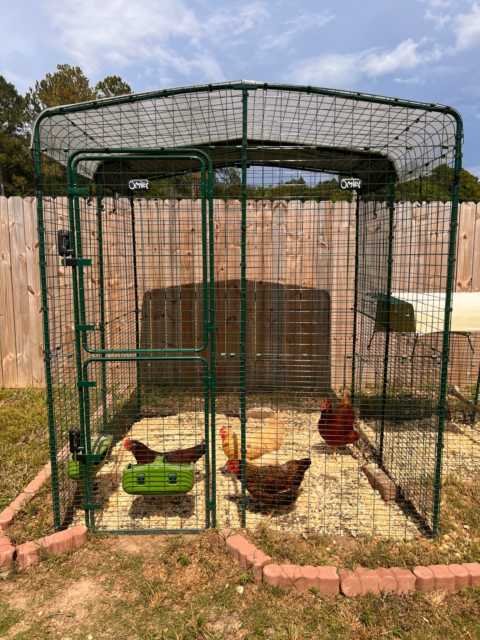 Top 5 Tips for Raising Happy Chickens | Raising Chickens - Living ...