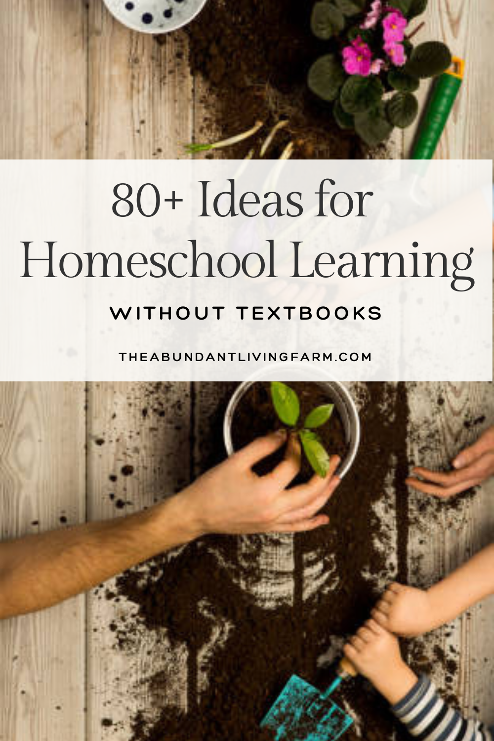 80+ Ideas for Homeschool Learning without Textbooks | Homeschooling ...