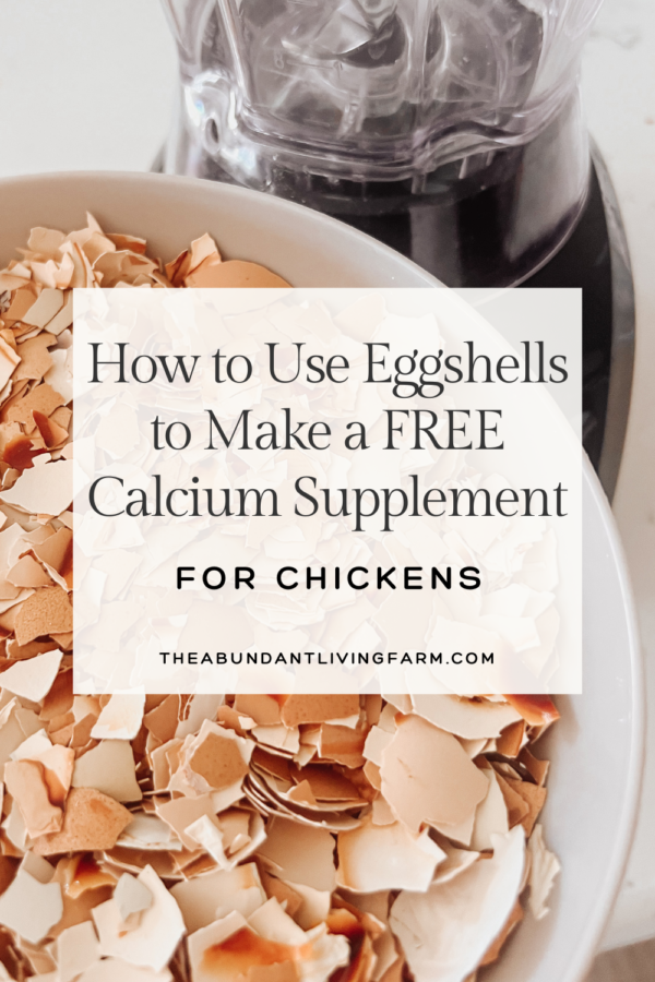 How to Use Eggshells to Make a Calcium Supplement for Chickens ...