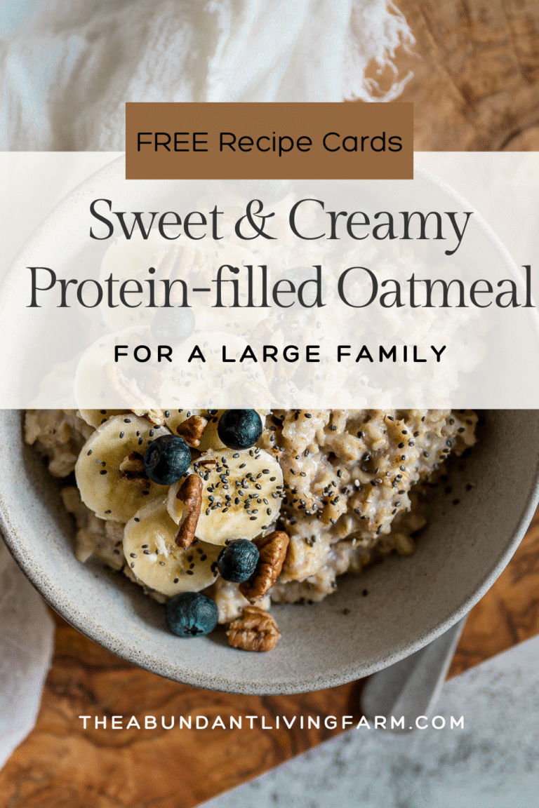 Sweet and Creamy Protein-filled Oatmeal Recipe for Large Families (FREE ...