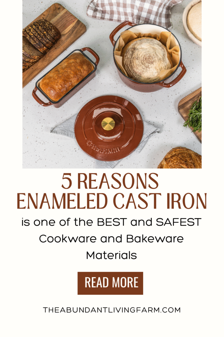 5 Reasons Enameled Cast Iron is one of the Best and Safest Cookware and ...