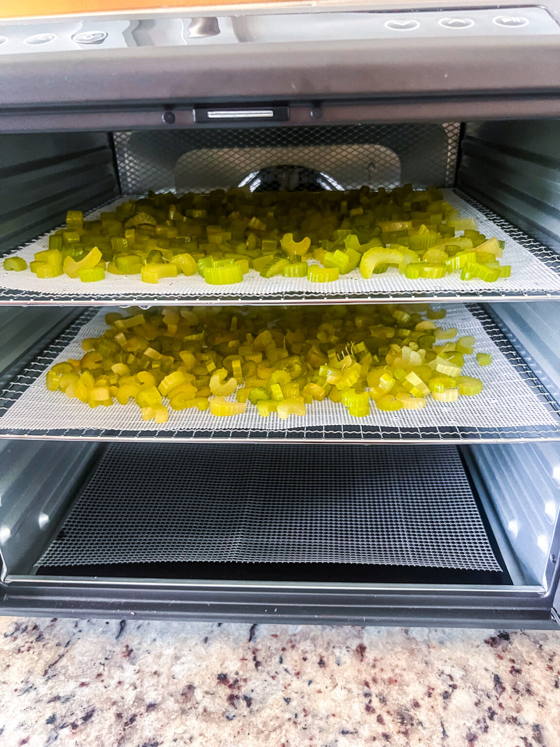 Using a Food Dehydrator the First Time: What to Expect that Most People ...