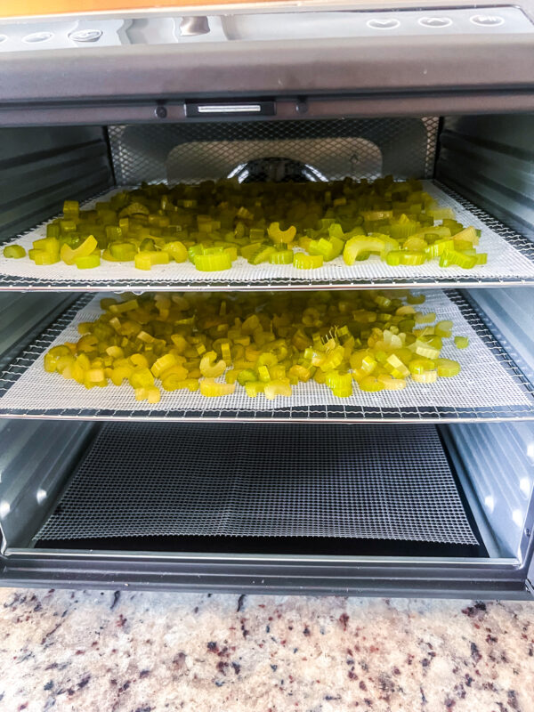 Using a Food Dehydrator the First Time: What to Expect that Most People ...
