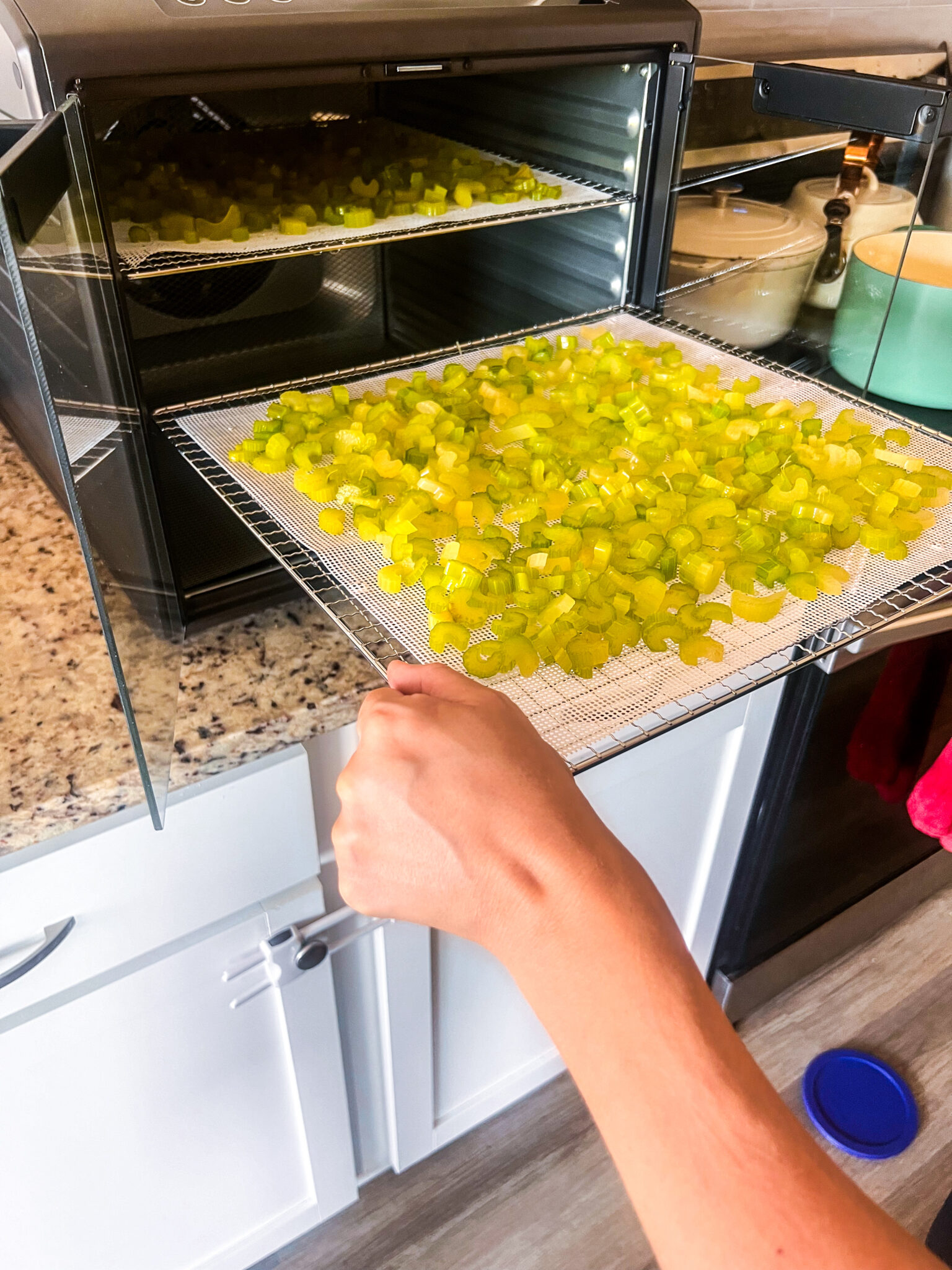 Using a Food Dehydrator the First Time: What to Expect that Most People ...